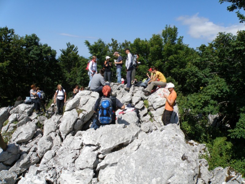 12.8.2018. (nedjelja) Sjeverni Velebit: Senjsko bilo, Jadićeva plan ...
